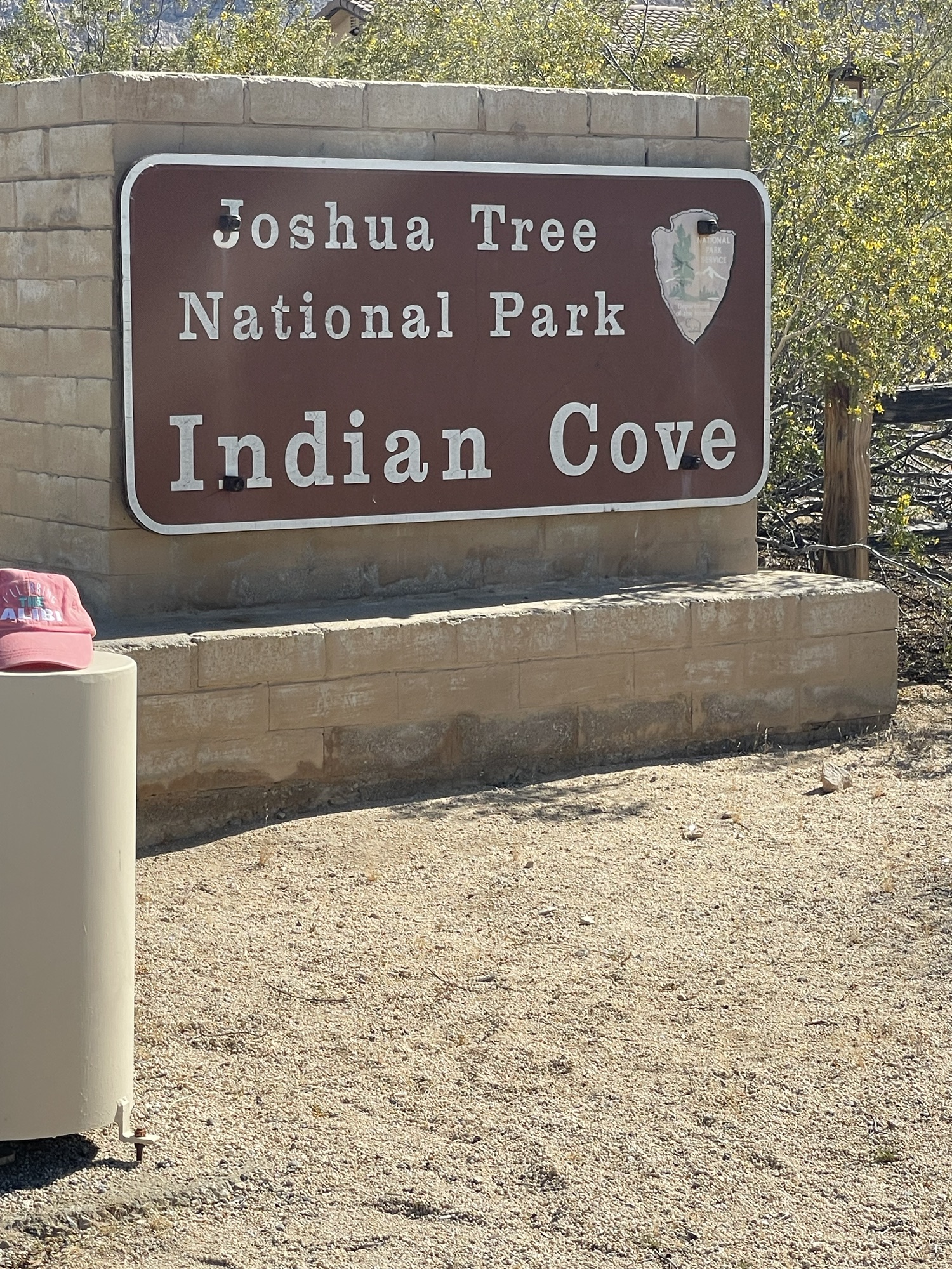 Sunday 5/12 ( Joshua Tree National Park) – Tom's National Park Adventure