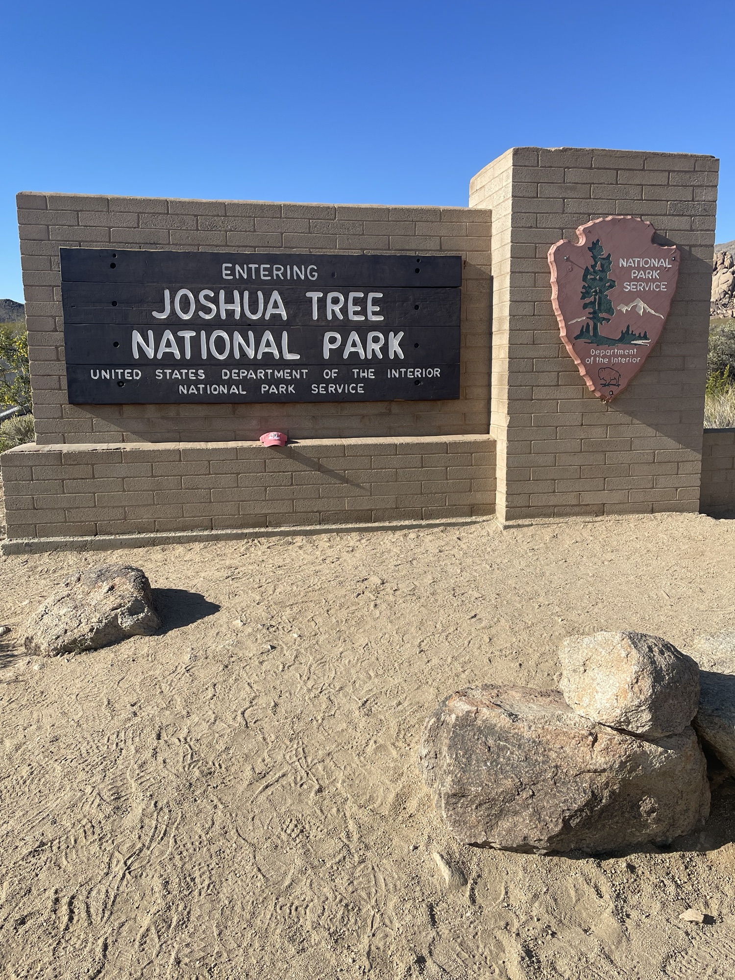 Monday 5/13 (Joshua Tree National Park) – Tom's National Park Adventure