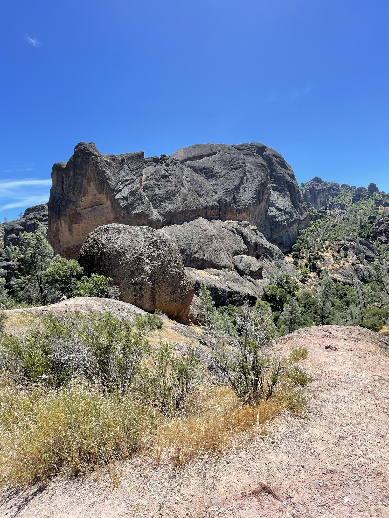 Saturday 5-25 (Pinnacles National Park) – Tom's National Park Adventure