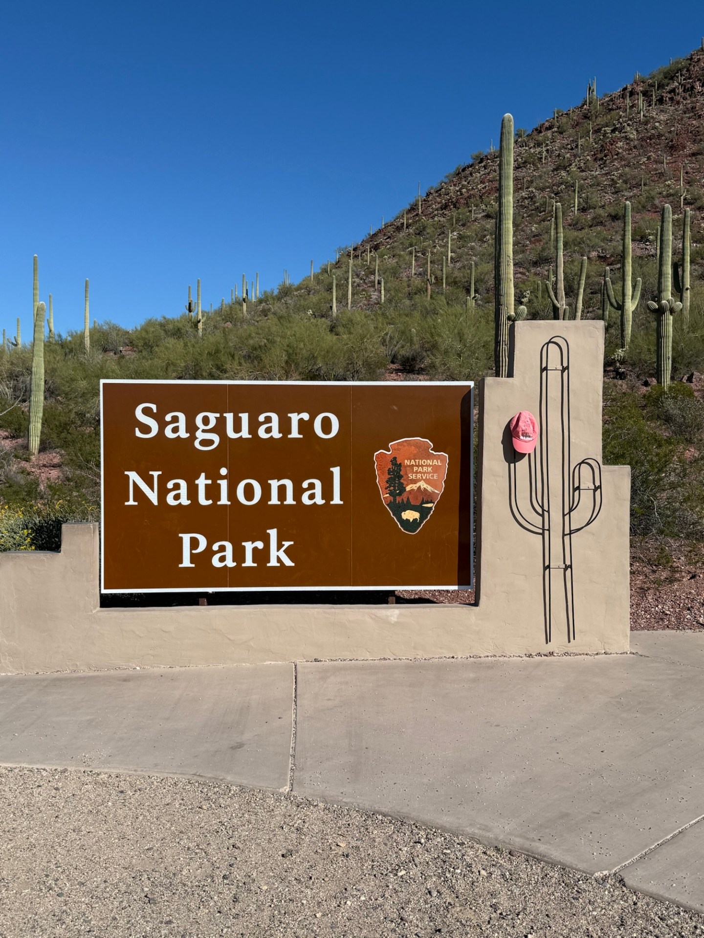 Saguaro National Park 1/12/26 – Tom's National Park Adventure