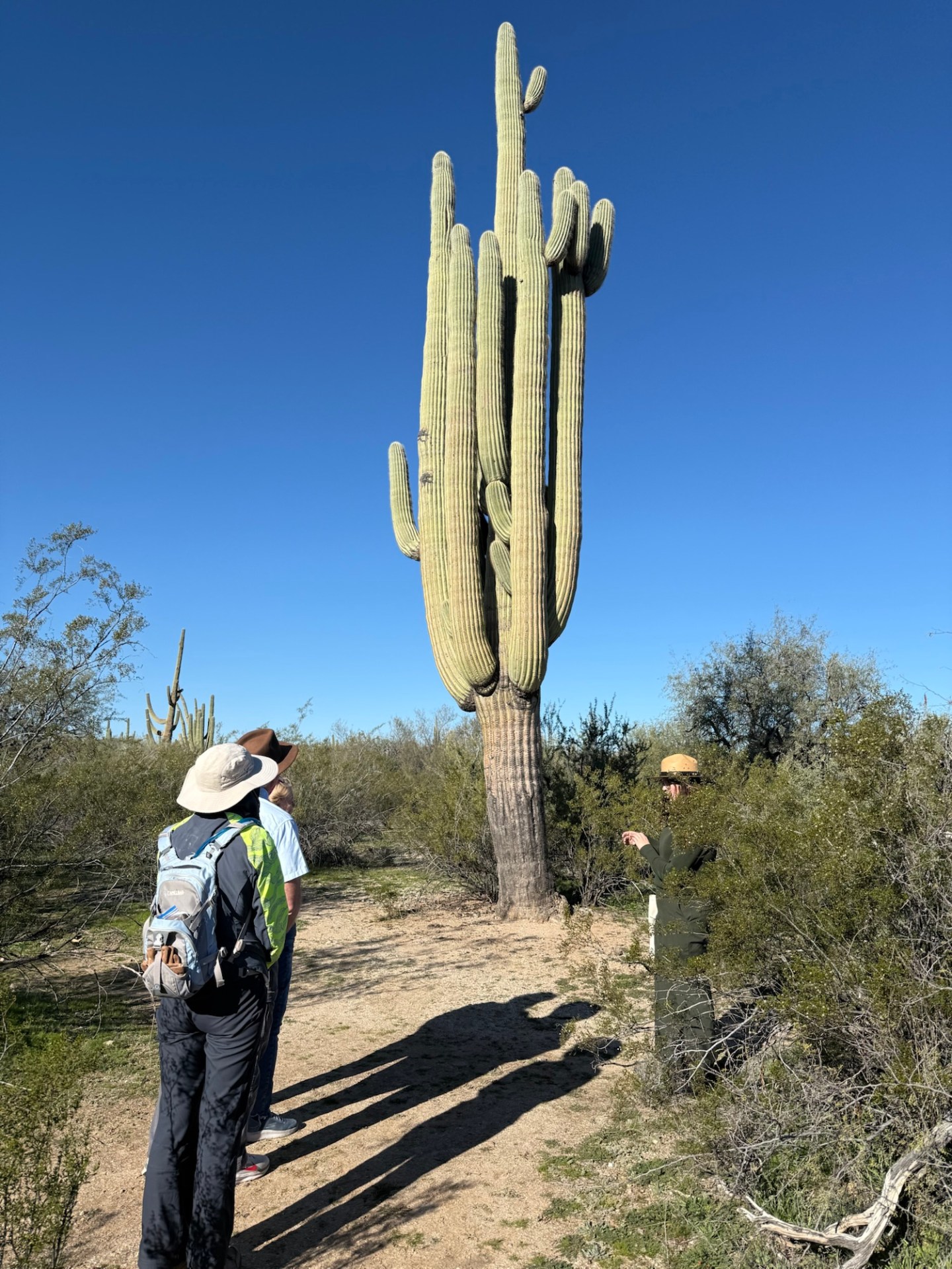 Saguaro NATIONAL Park – Day 2 1-13-26 – Tom's National Park Adventure